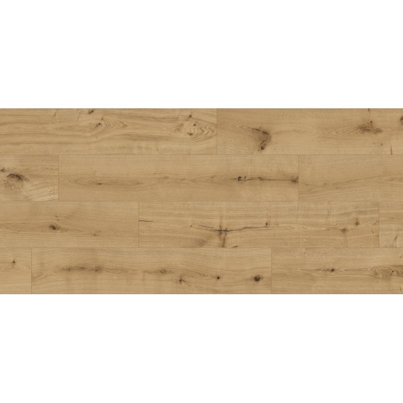 SPC Kaindl S341 AS Rovere Pisa