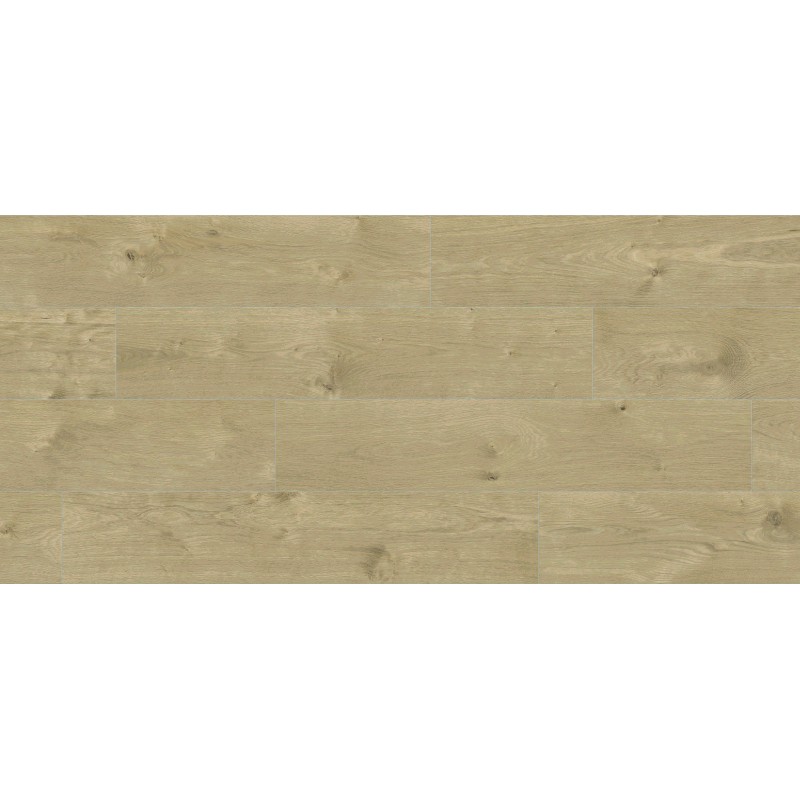 SPC Kaindl S343 AS Rovere Ravenna